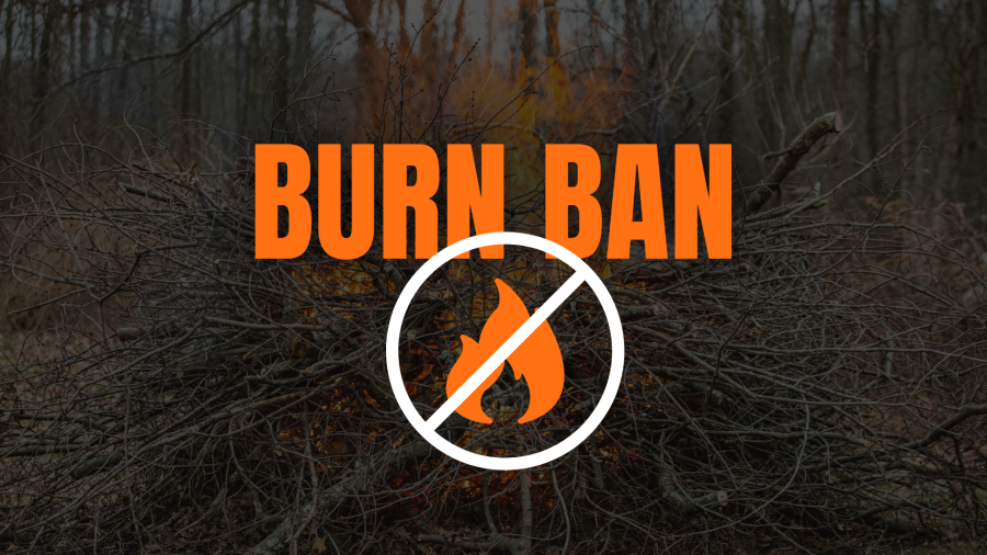Statewide burning ban active Friday morning until further notice, SC ...