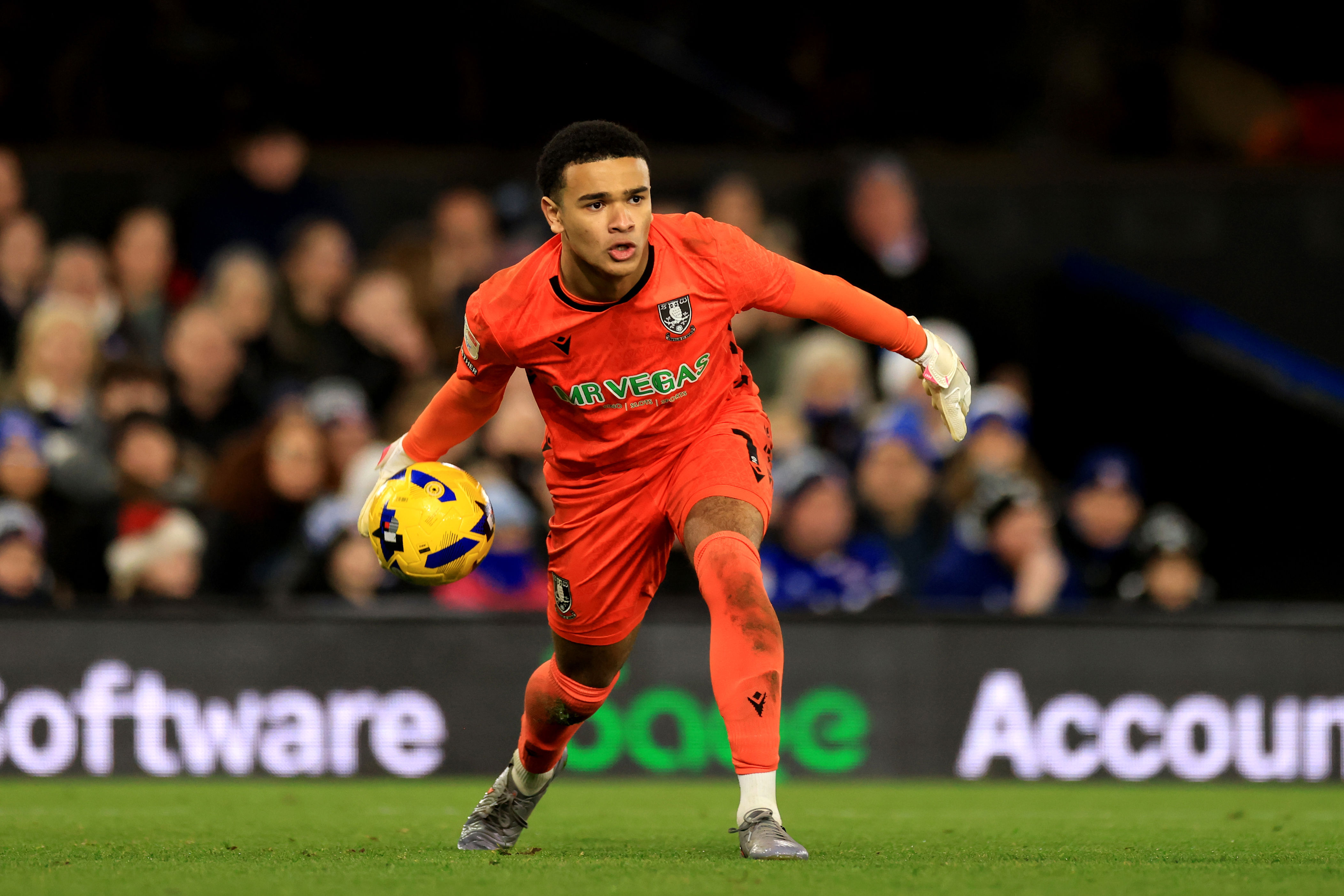 Rangers urged to sign Sheffield Wednesday goalkeeper Pierce Charles
