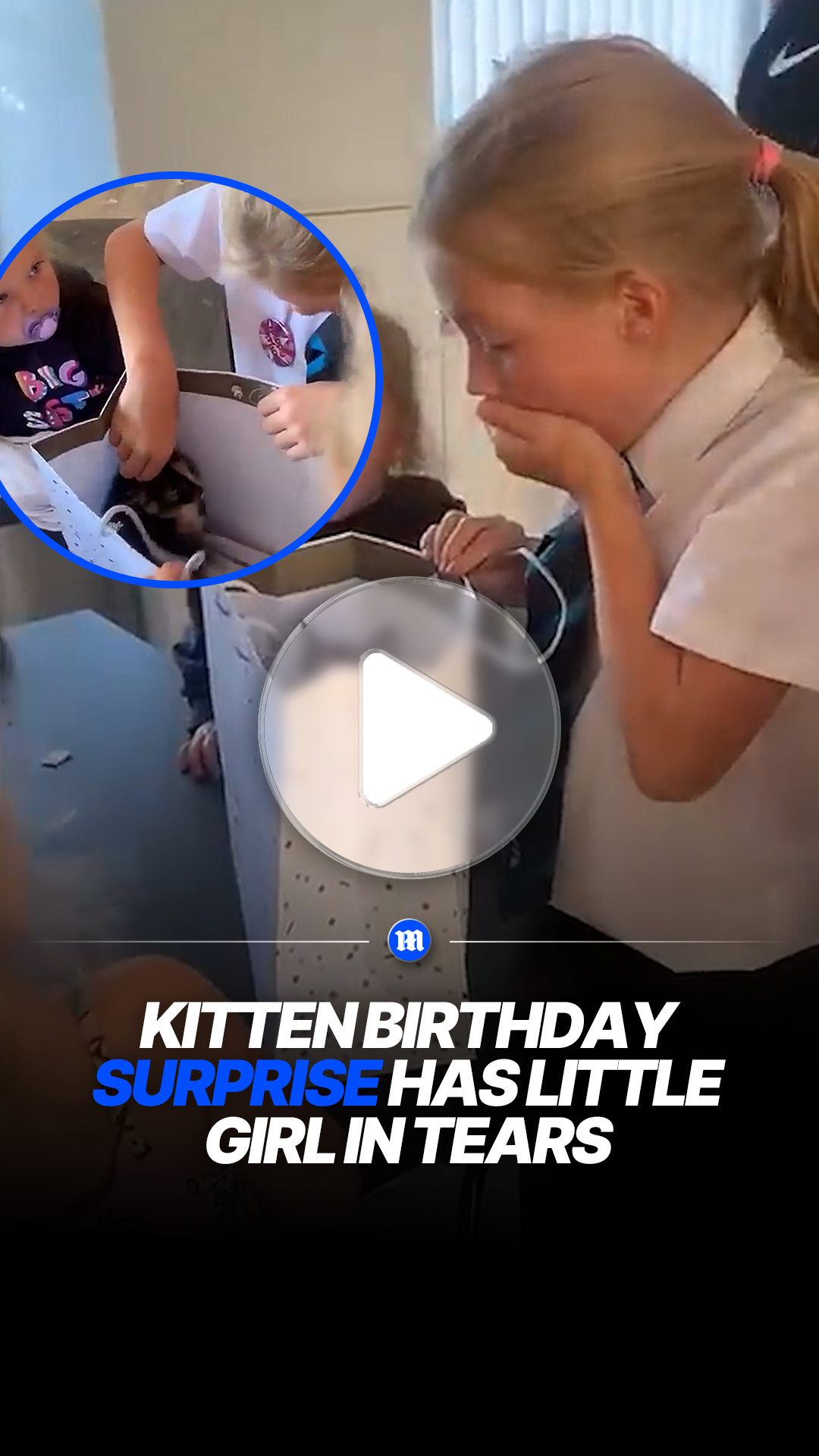 Little girl overwhelmed by surprise kitten on her birthday