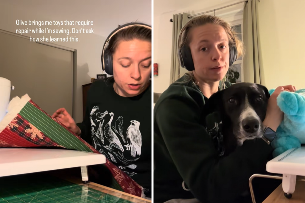 Rescue dog has adorable requests whenever their owner starts sewing