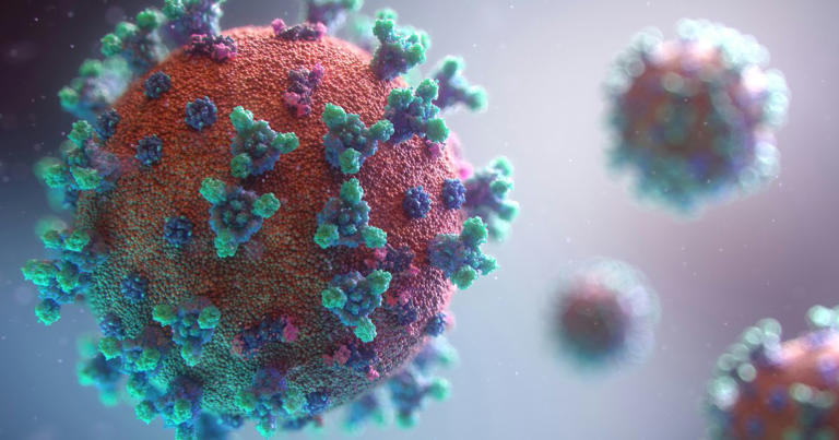 World Health Organization tracking new COVID variant, found in more ...