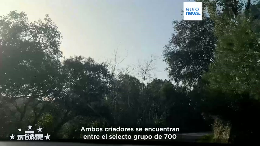 Secretos de "Pata Negra": El jamón ibérico 100% de bellota a la ...
