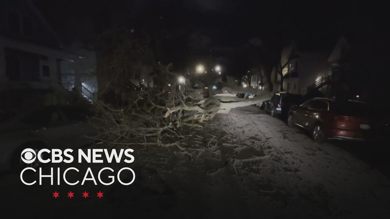 Strong storms topple tree onto cars in Lakeview