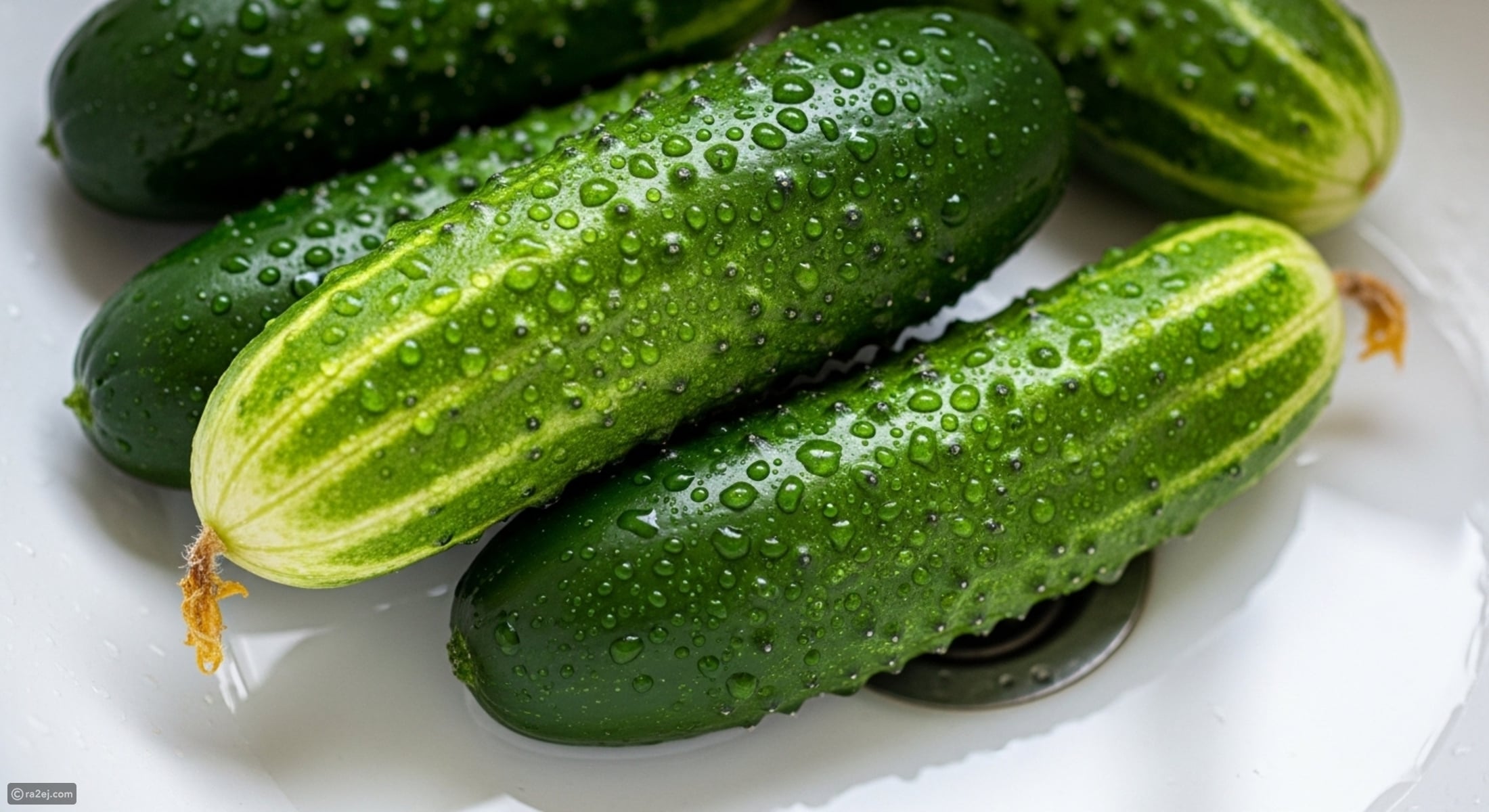 Stop the spoil: 9 simple reasons cucumbers go bad too fast