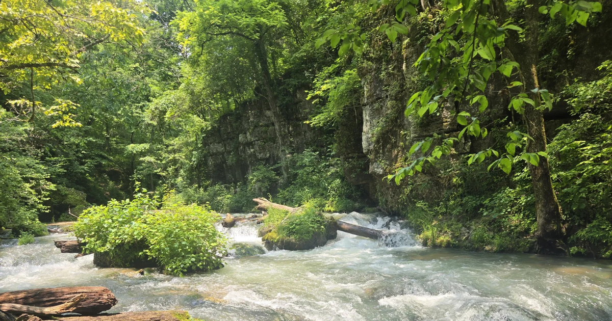 Missouri's most underrated fairy tale forest you need to visit