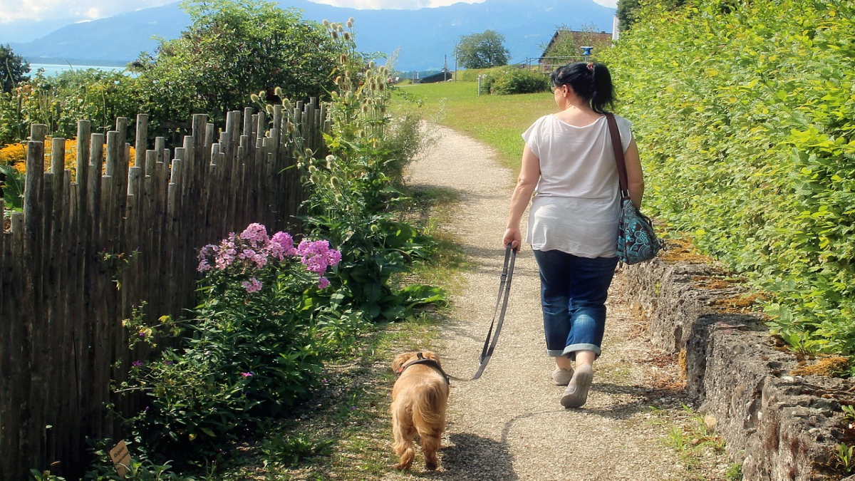 Want a happier dog? These 9 simple routines make a difference