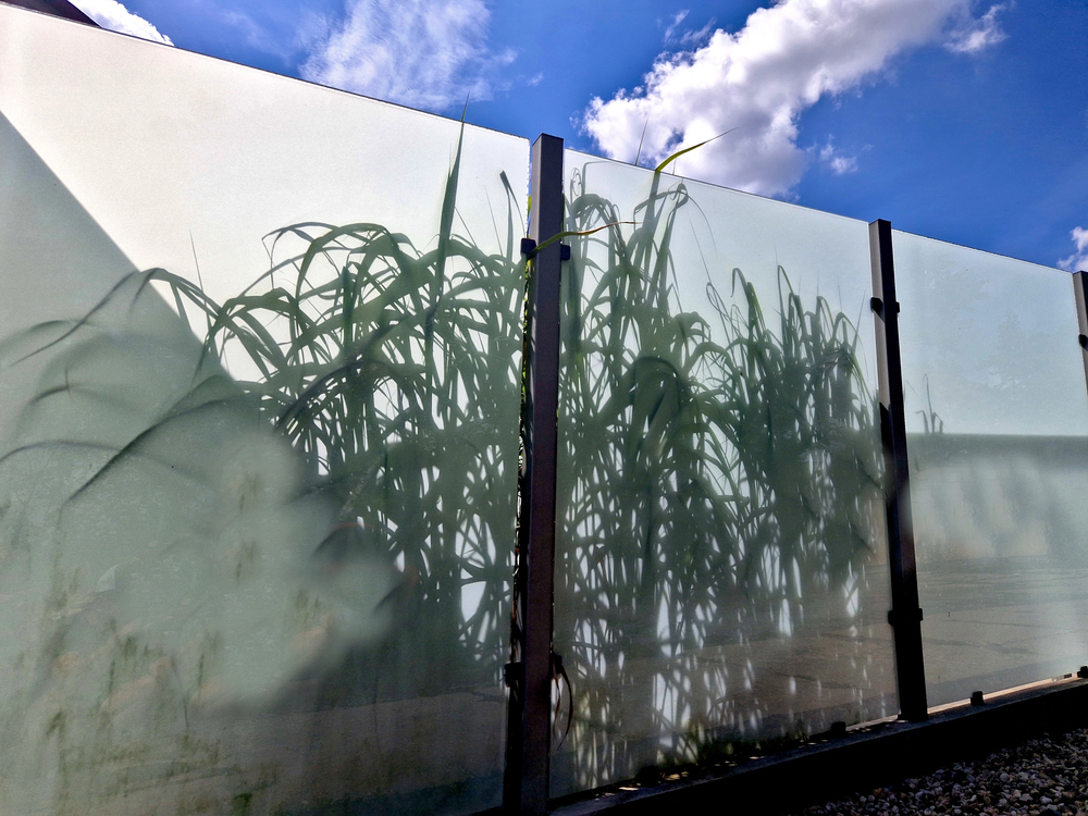 20 stylish outdoor privacy ideas (beyond fences)