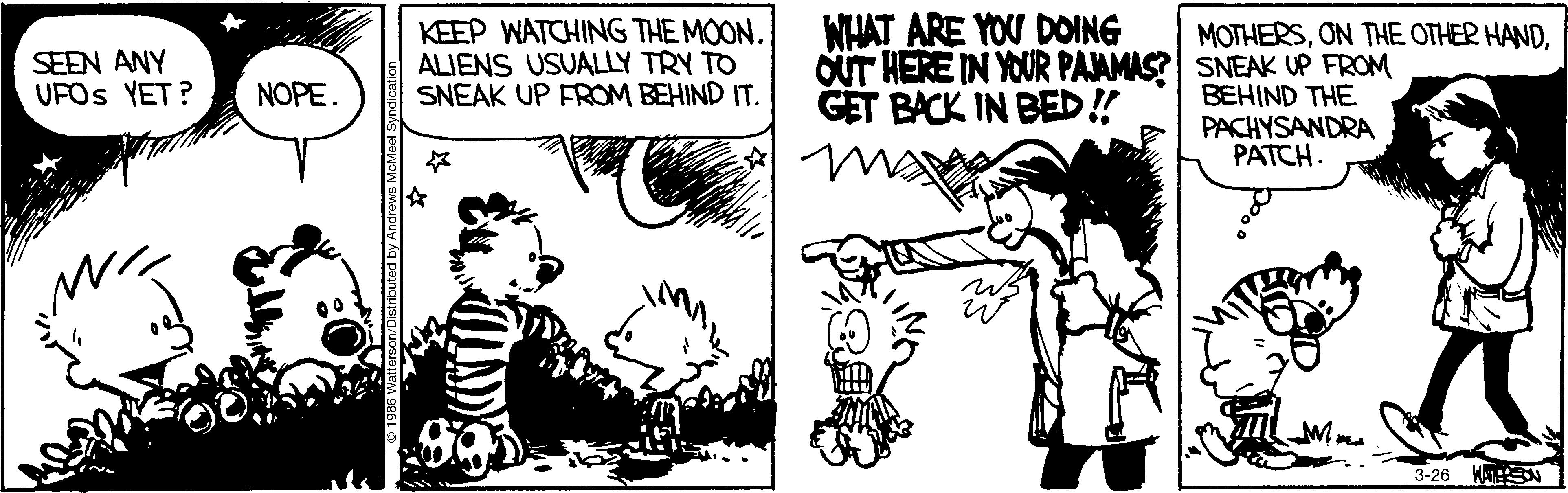 Calvin and Hobbes by Bill Watterson