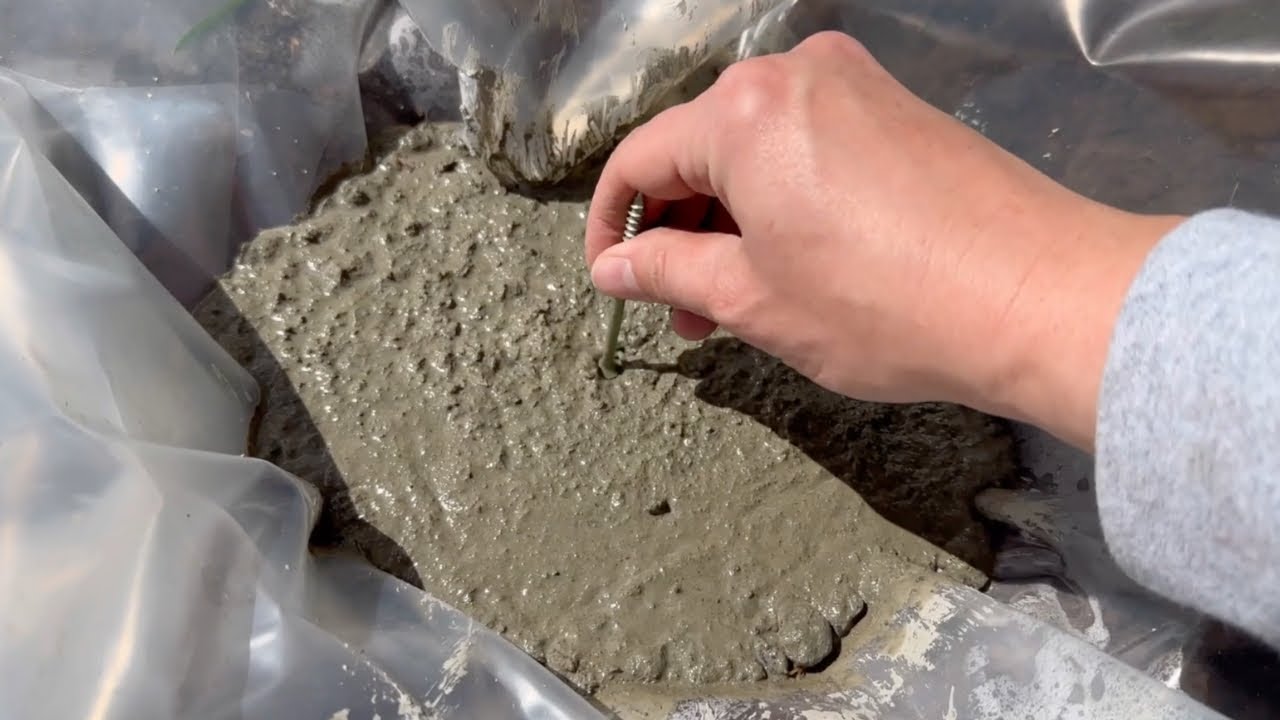 Stick a screw into concrete for this brilliant garden idea!