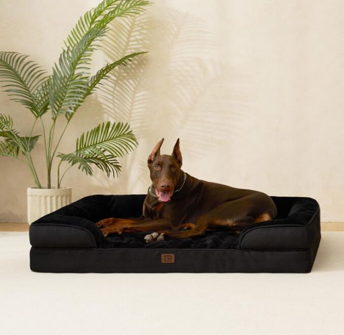7 Amazon spring deals every pet owner needs