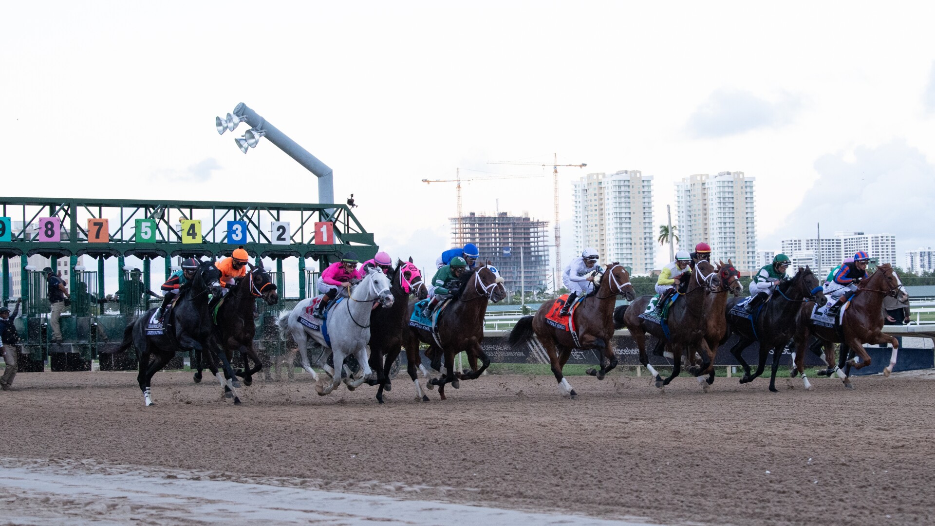 How to watch the 2026 Florida Derby: Schedule, TV/stream info for ...