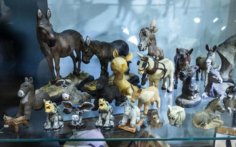 At Nevada donkey museum, see a misunderstood animal in a new light