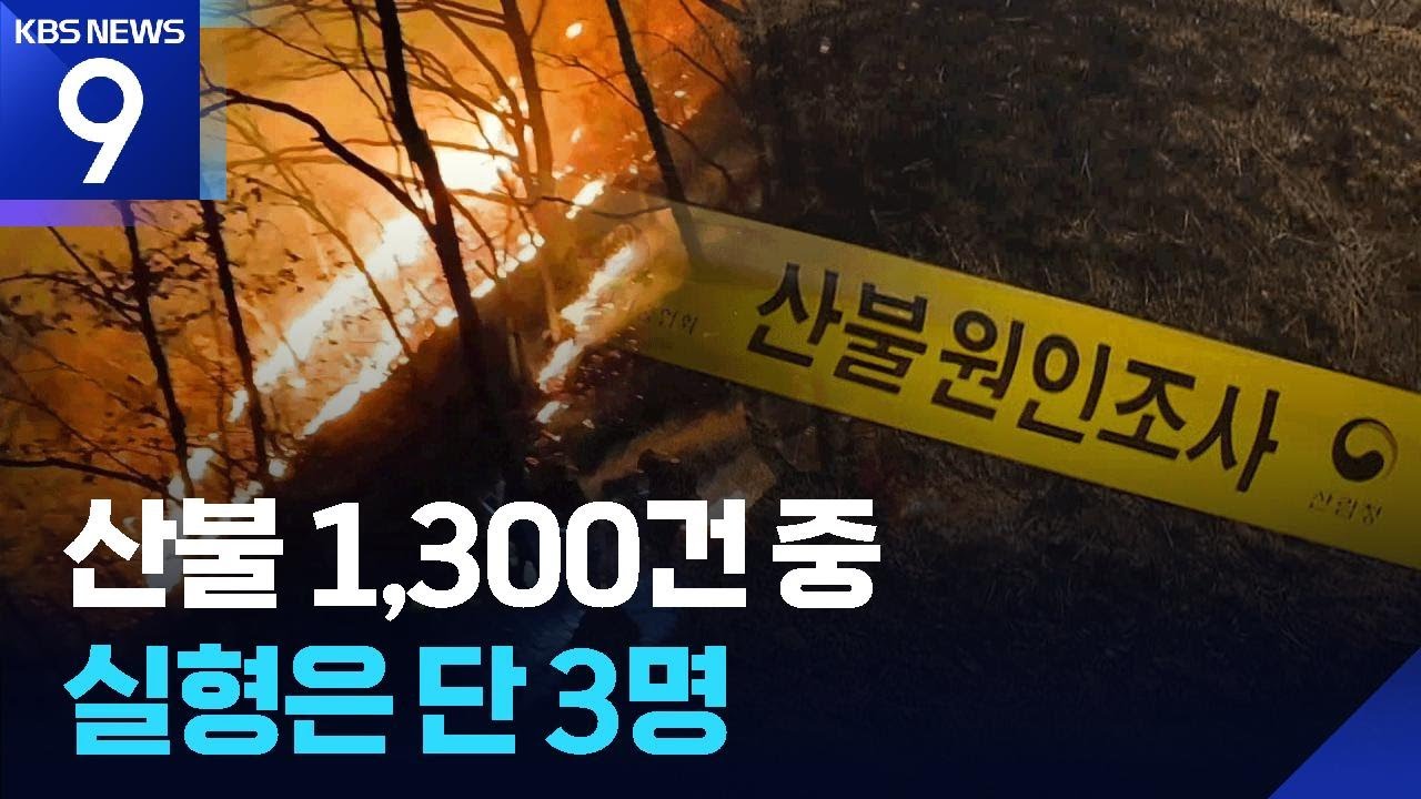 산불 처벌 '불과 12%'… 피해 막으려면 "처벌부터 제대로" [산불1년]⑤ [9시 뉴스] / KBS 2026.03.27.