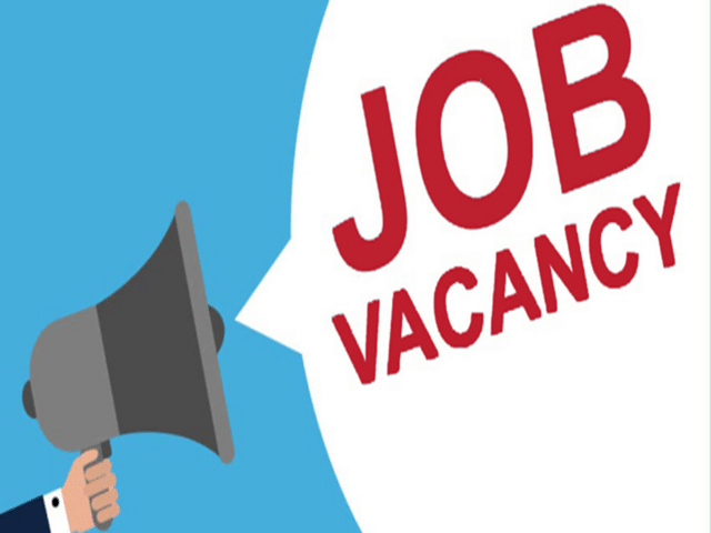 BOB vacancy 2026: A golden opportunity to become a manager at Bank of ...