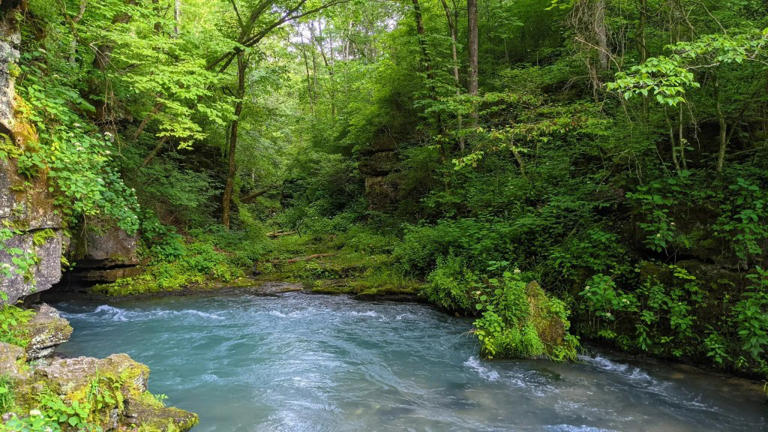 Missouri's most underrated fairy tale forest you need to visit