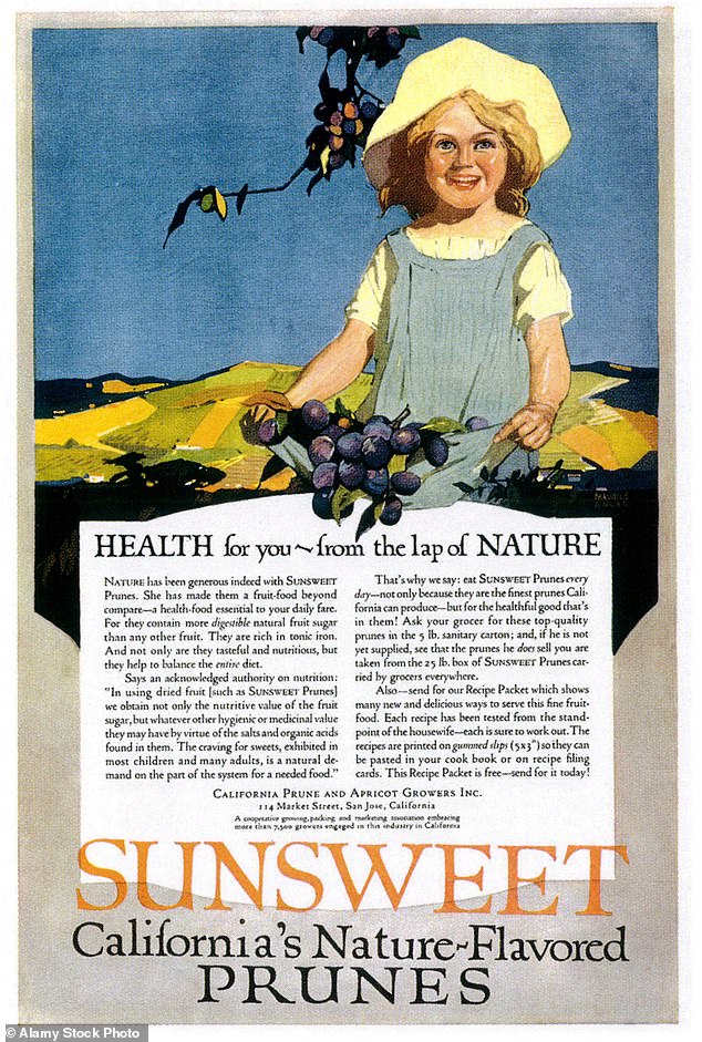 The health benefits of prunes revealed and how they could fight against ...