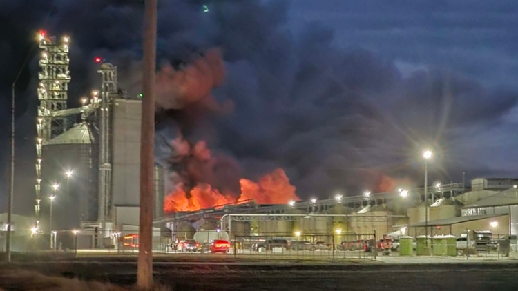 'Devastating' fire at northern Iowa egg farm kills several flocks ...