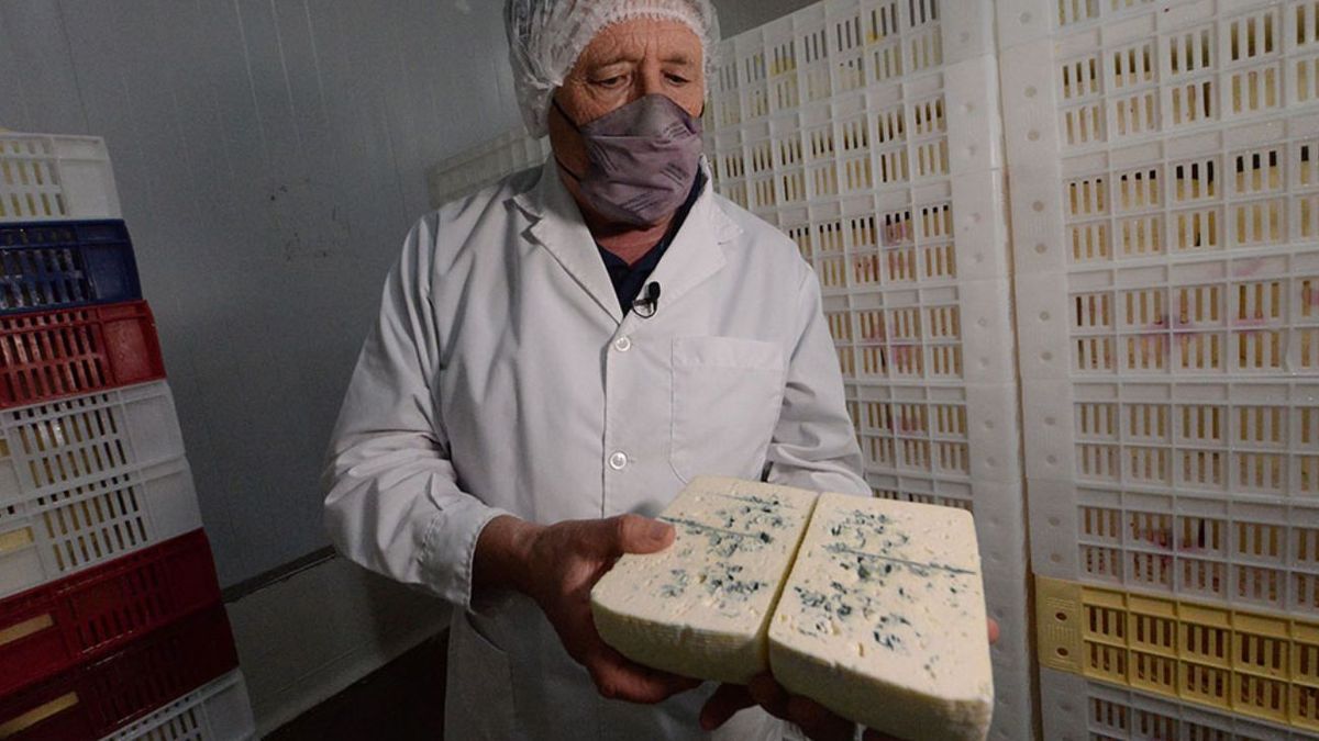Día Mundial del Queso: el "Emperador" de Córdoba que conquistó el ...