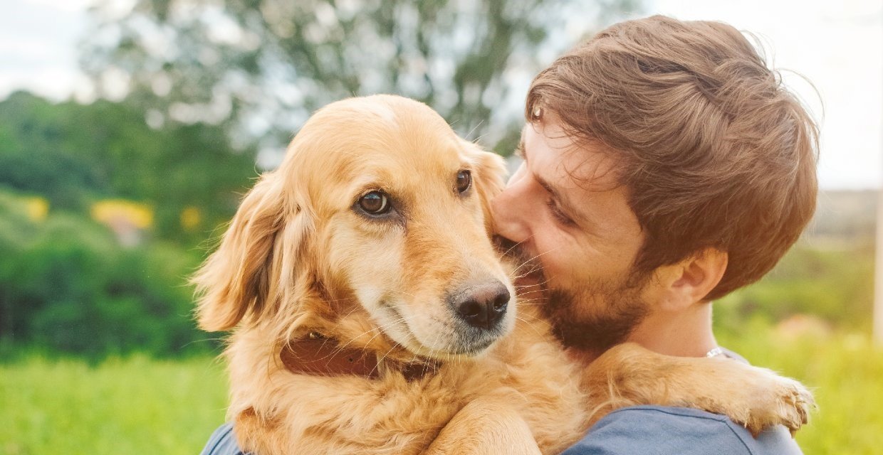 How do I know if my dog is happy? 6 signs of a happy dog
