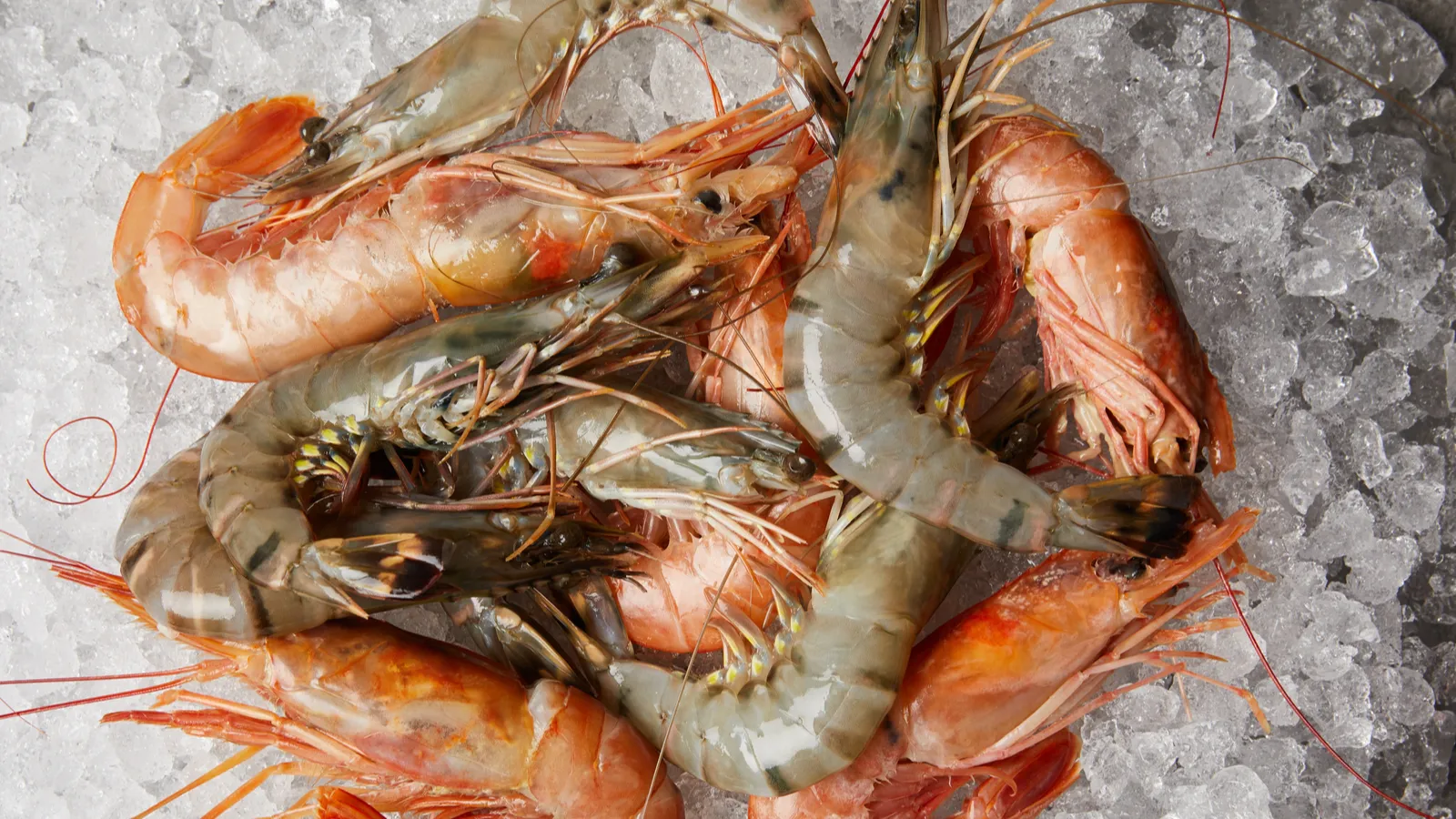 Think fresh is always better? Chefs reveal the seafood you should ...