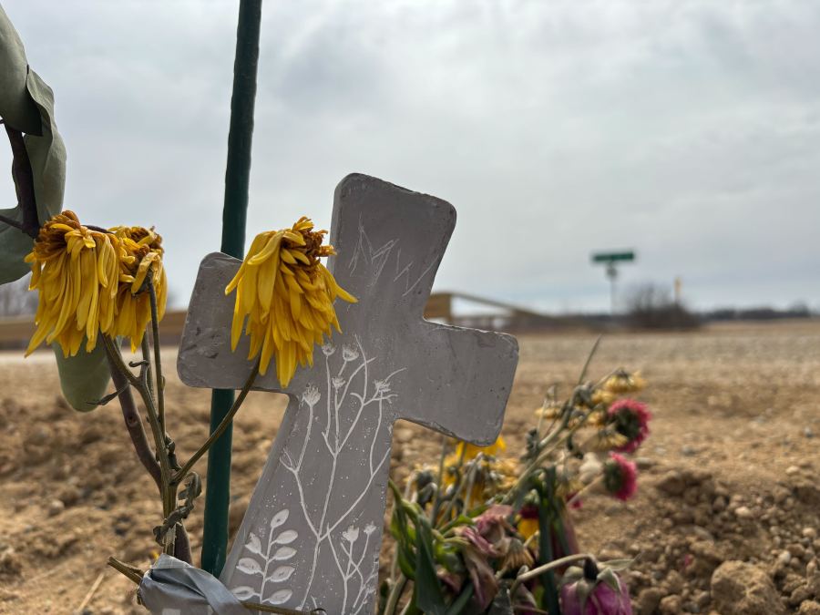 Charges expected in McKenna Wendel case in June