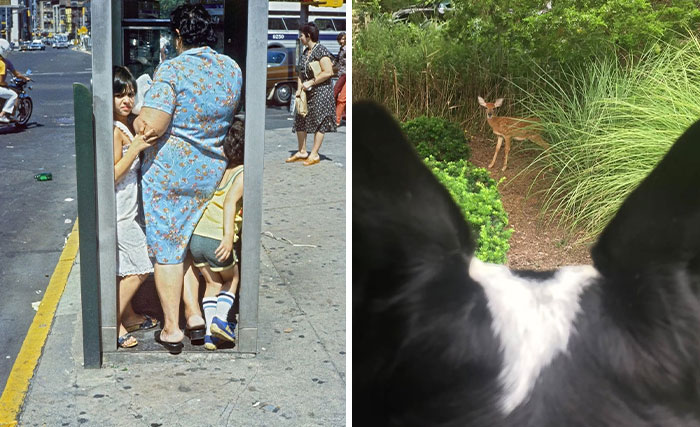 40 street photos that stand out