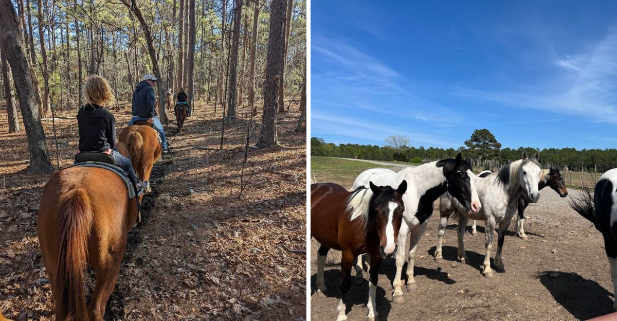 Ride like an outlaw through rugged Oklahoma hills and secret rocky ...