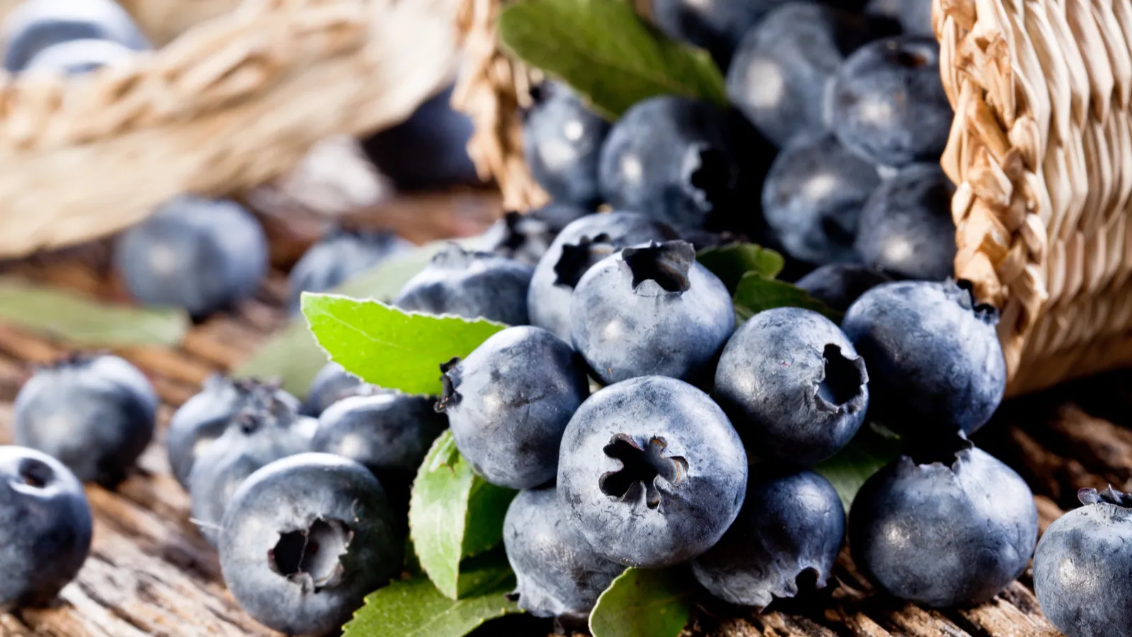 A growing debate continues on the best way to keep blueberries fresh ...