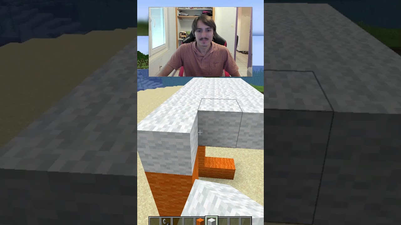 J'ai (pas) reconstruit la maison du poulet!🐔 #shorts #minecraft