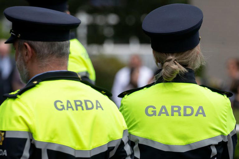 Nine arrests made in Garda day of action targeting money laundering