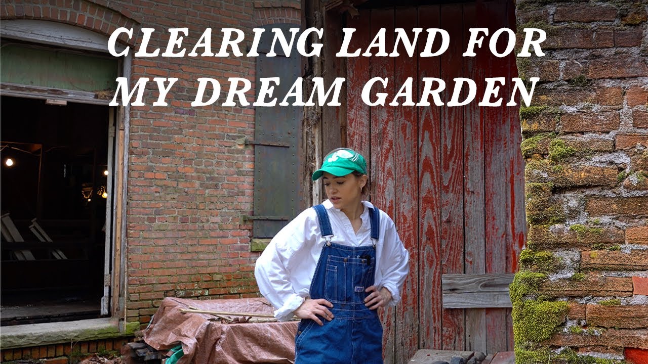 Turning my abandoned general store into my dream homestead: Clearing land