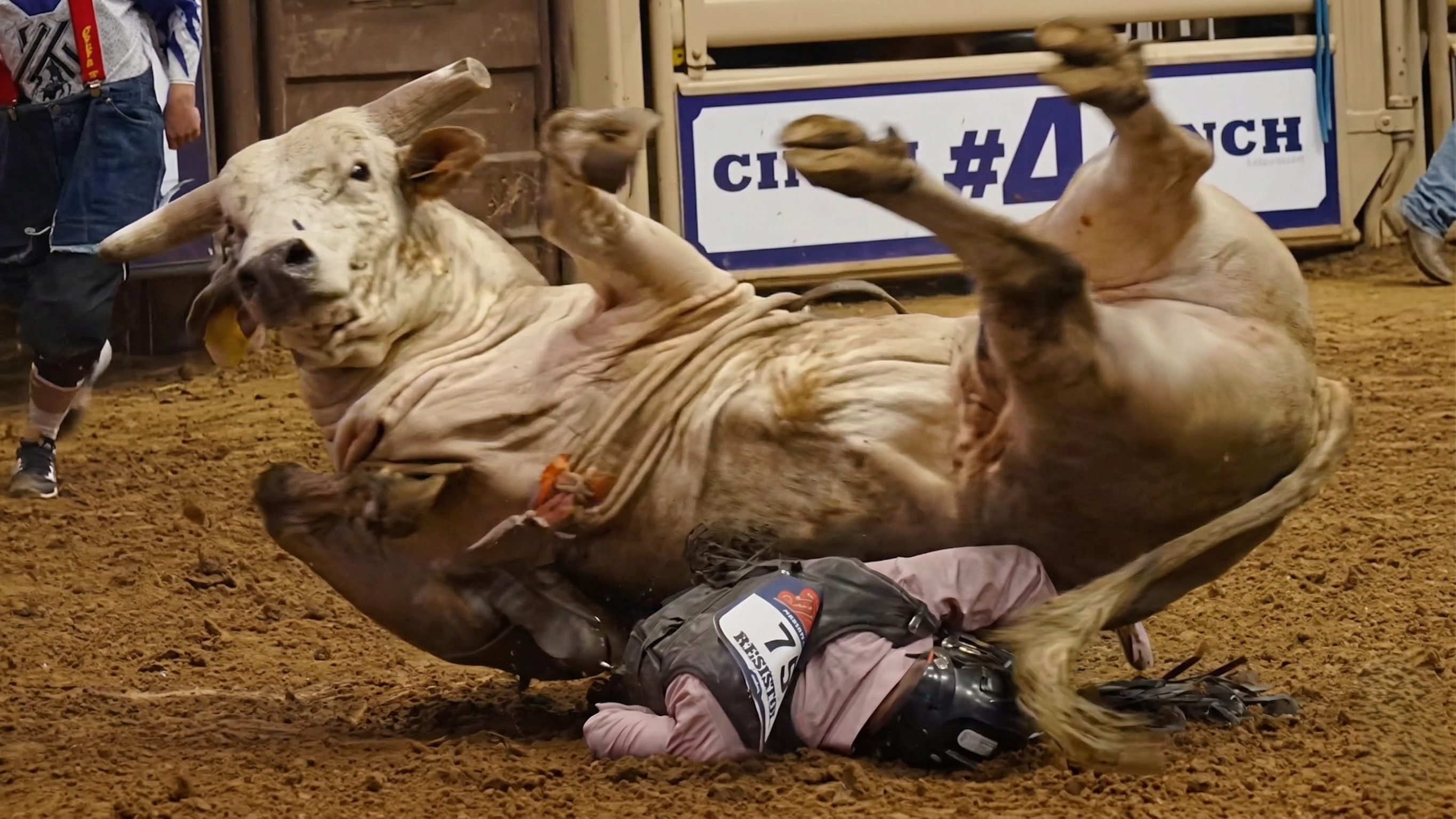 Watch what happens when a 2,000 lb bull falls on top of him - it’s over ...