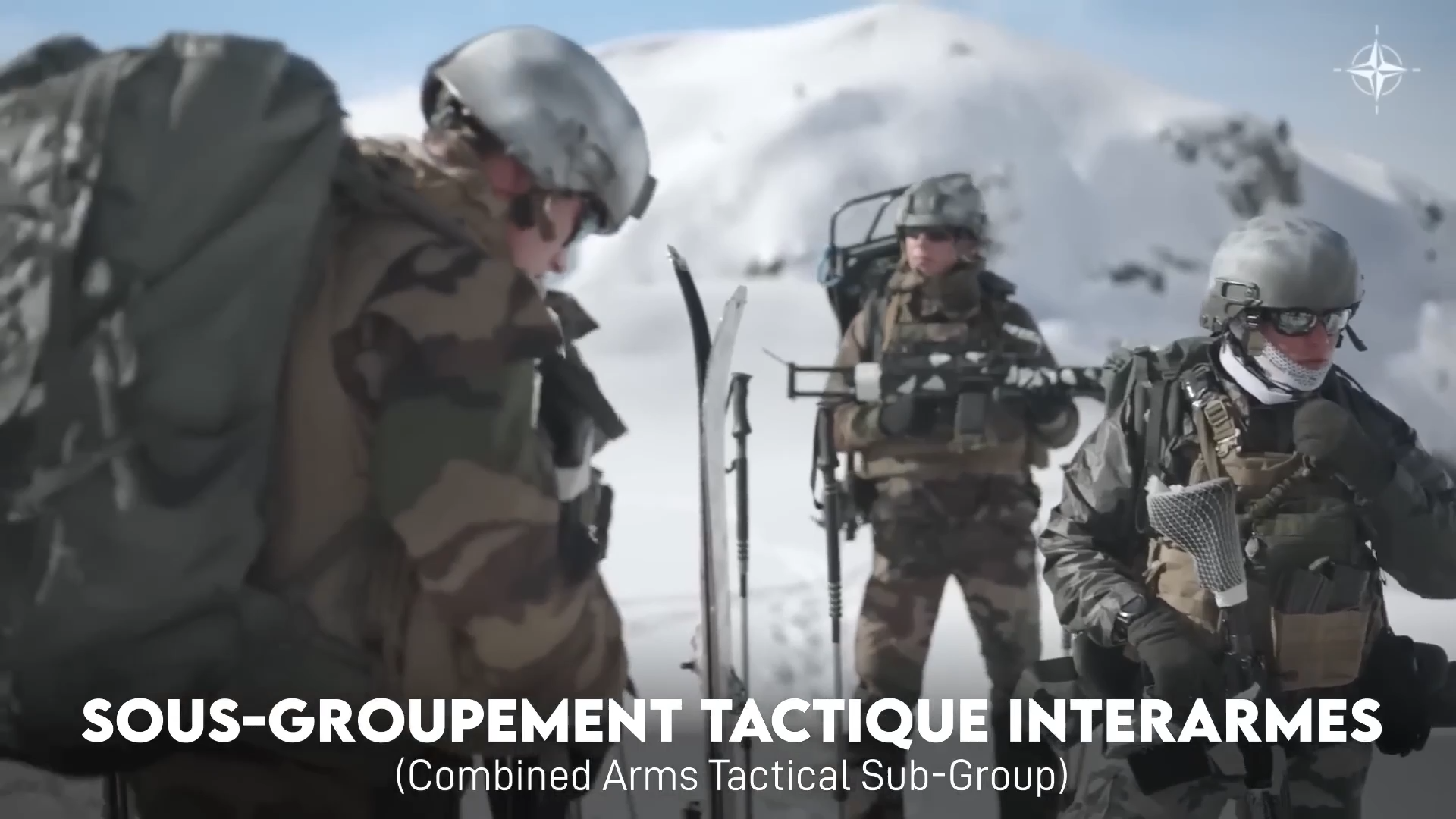 French and Allied Contributions to NATO’s Eastern Flank: Alpine and ...
