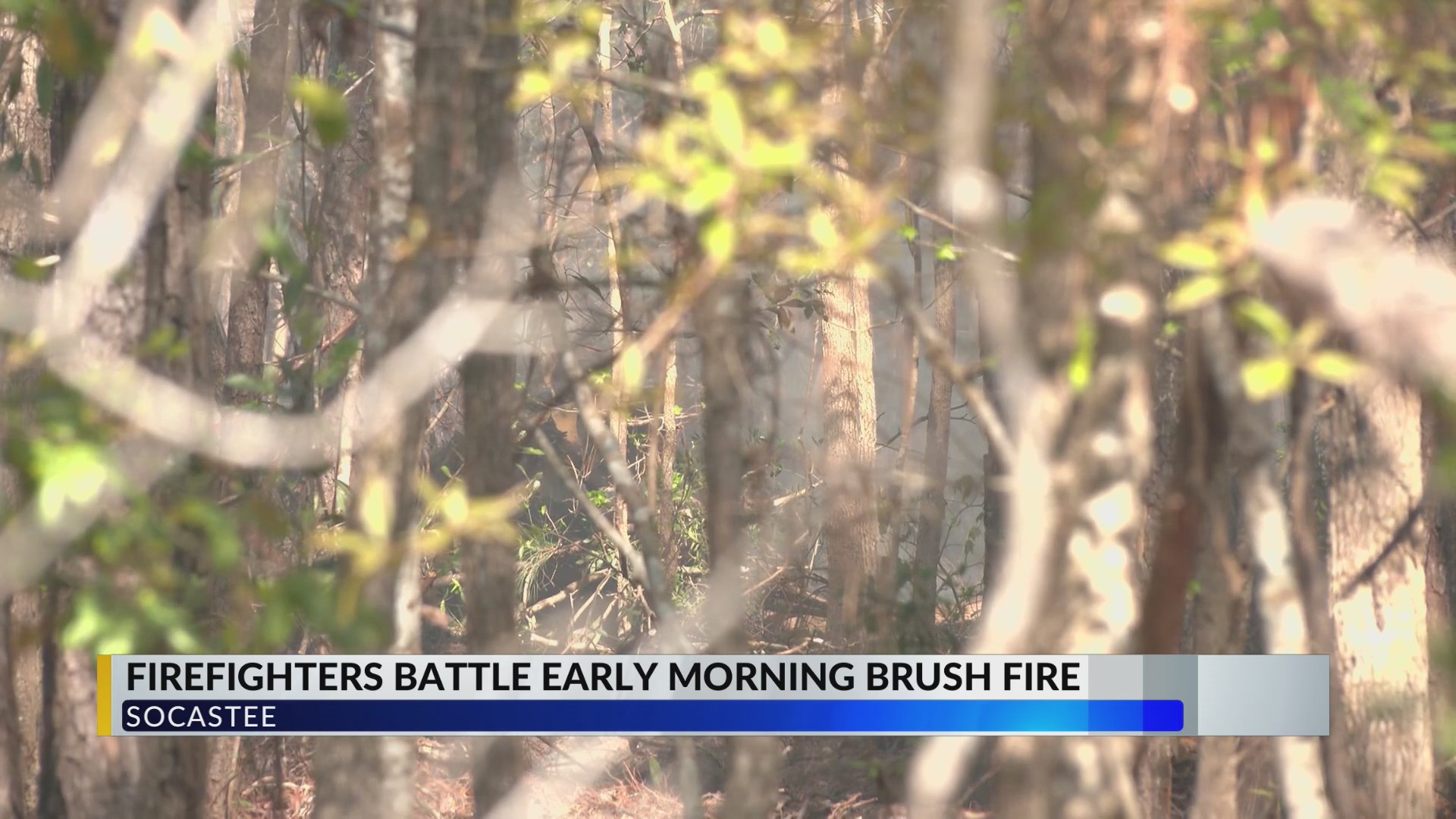 Socastee-area brush fire fully contained
