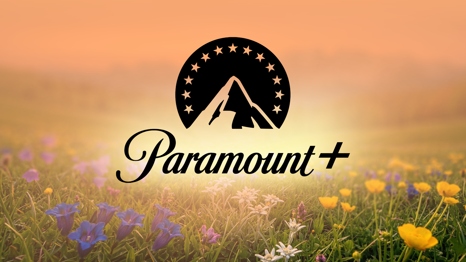 4 newly added Paramount+ movies to watch this week (May 25-31)