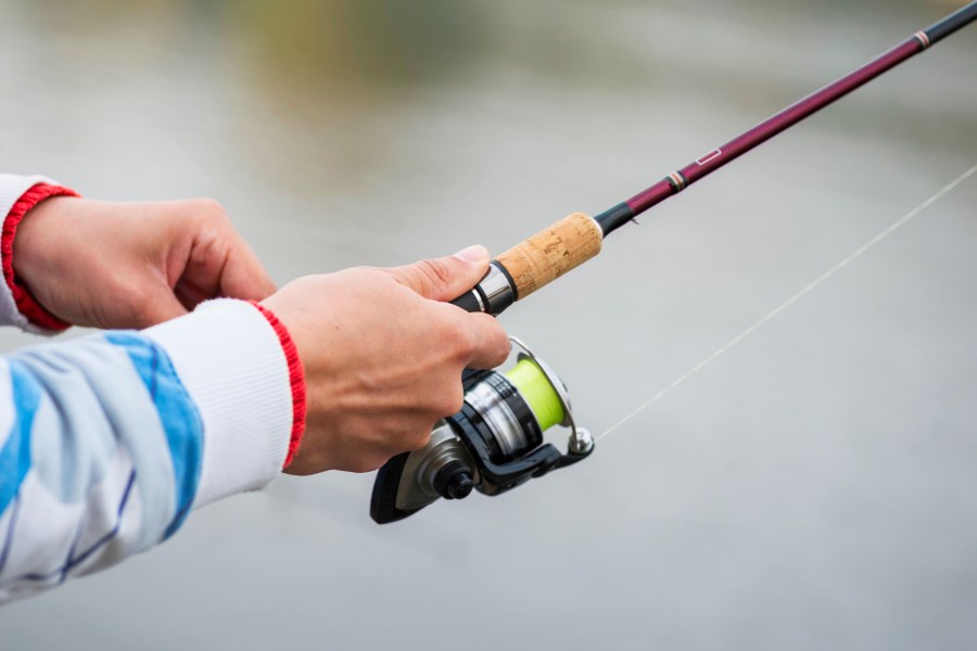 West Virginia fish stocking schedule for March 27