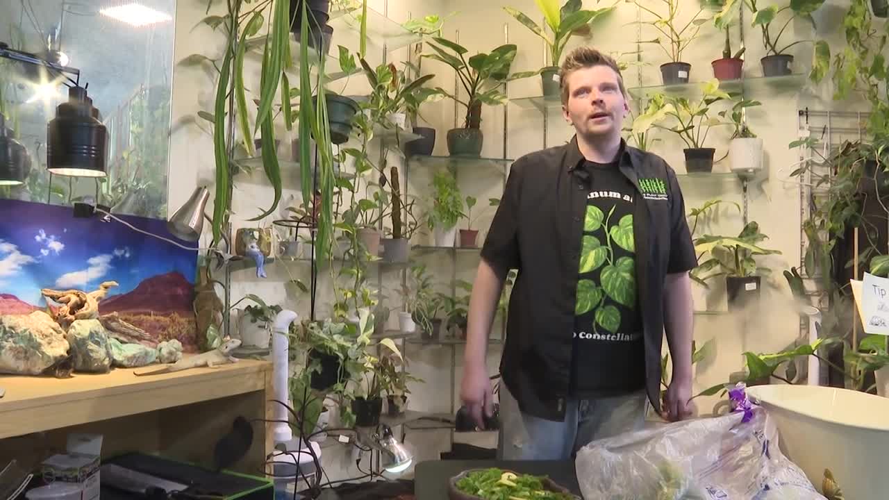 Family fun at the Citadel Mall, a free event this Saturday with ...