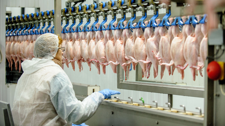 What is turkey ham and what does it taste like?