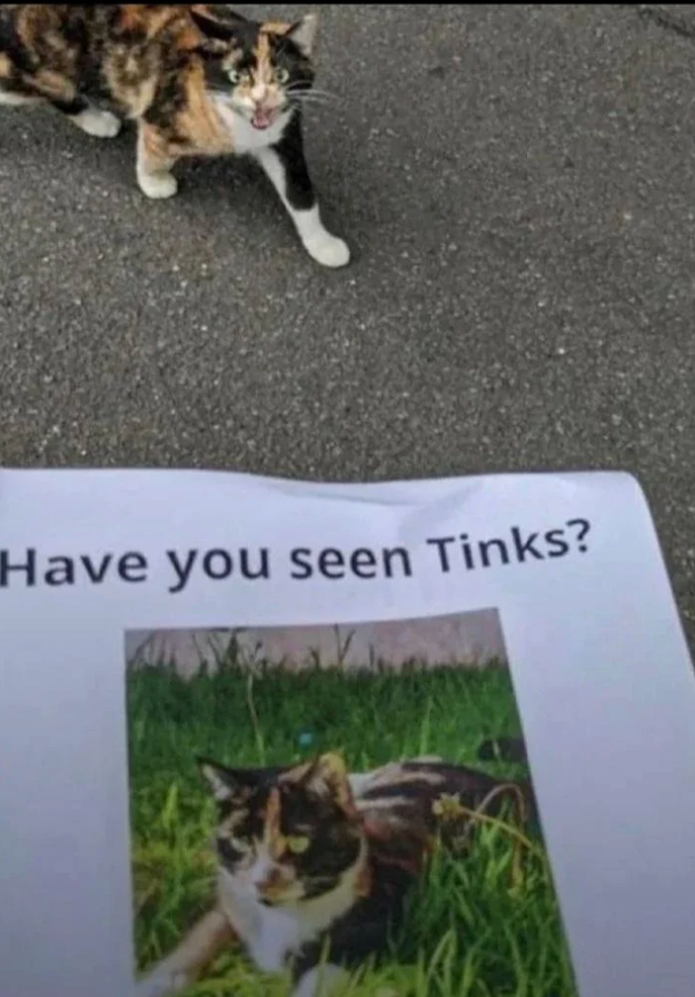 18 funny signs from this week that are so unhinged they should come ...