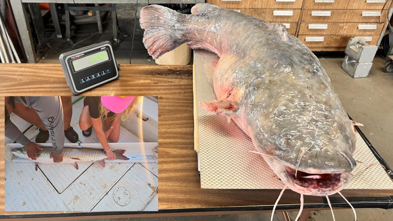 Michigan's biggest fish: The 2025 Master Angler report is in