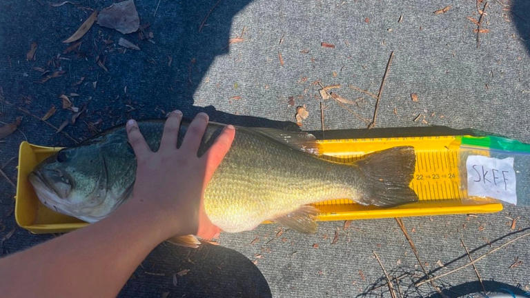 Michigan's biggest fish: The 2025 Master Angler report is in