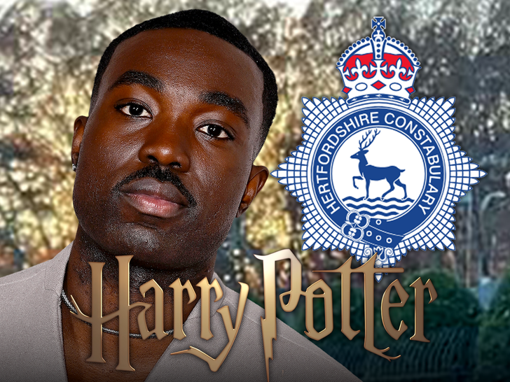 'Harry Potter' series racist death threats get UK police attention