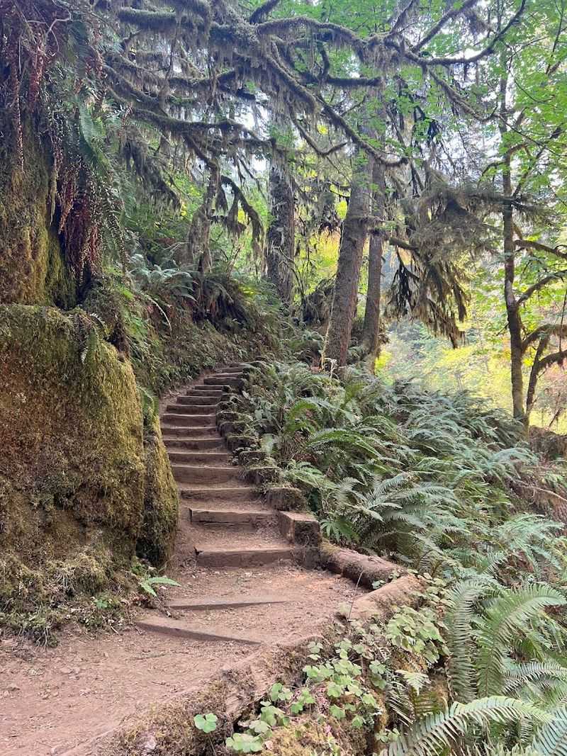 This forest hike is a shaded 3.5-mile escape with flowing creek views