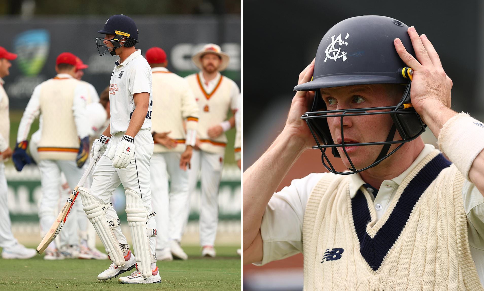 Cricket fan kicked out of Sheffield Shield final for an act that was ...
