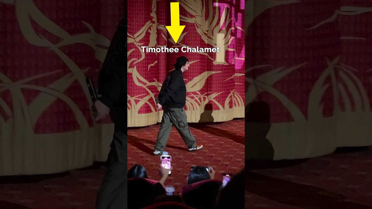 Timothy Chalamet invited me to watch Wonka