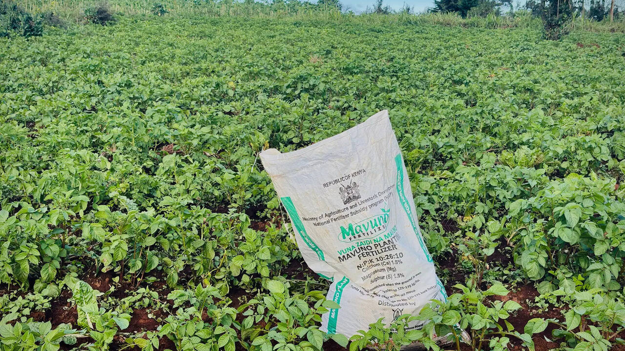Global fertilizer shortage intensifies due to Iran conflict ...