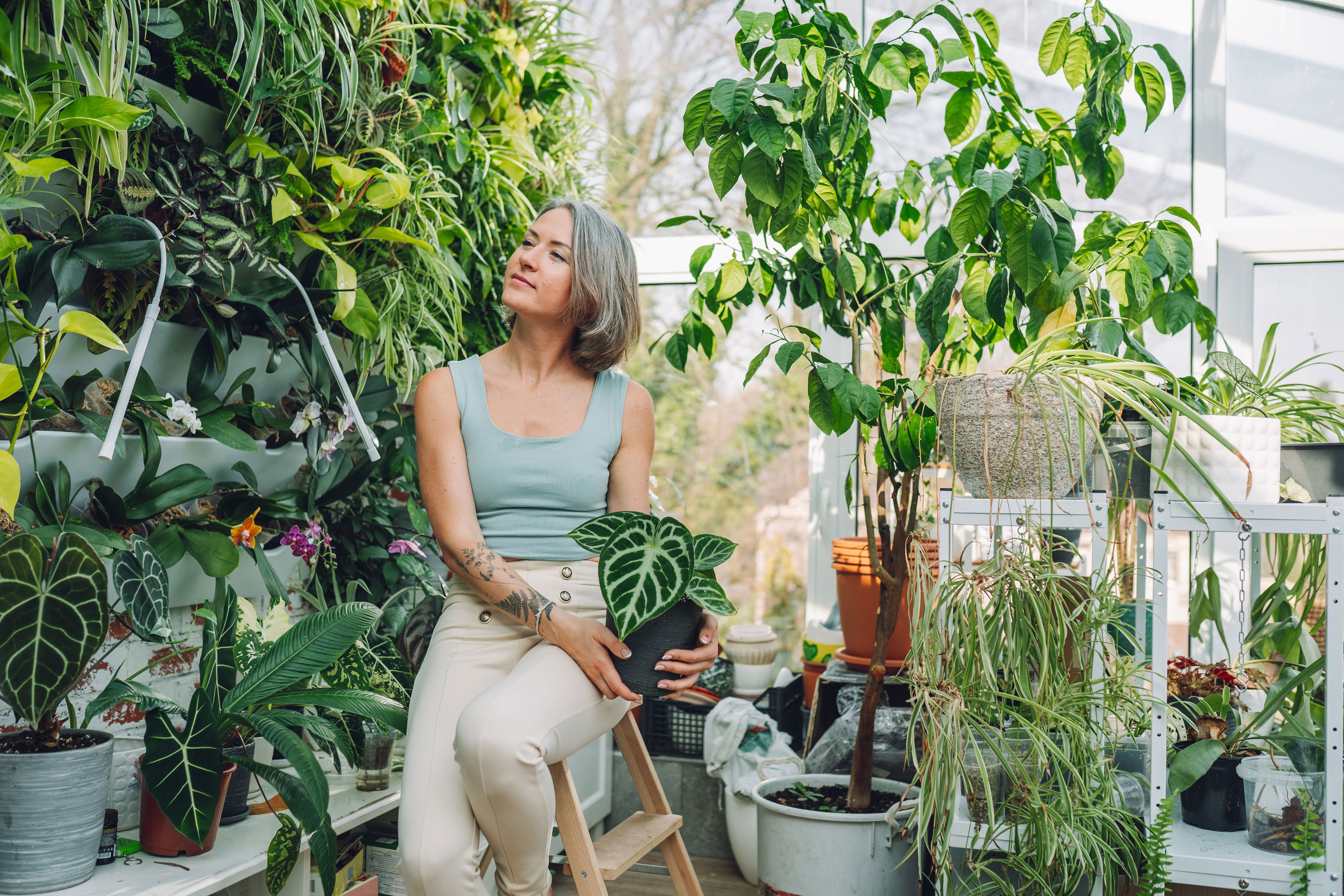 Tres plantas de rápido crecimiento y fáciles de cuidar que todos ...