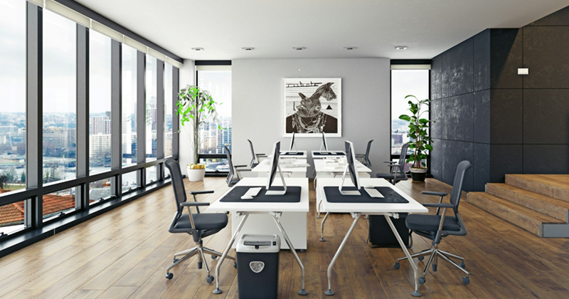 Workplace fires graphic designer for attitude problem, continues to ...