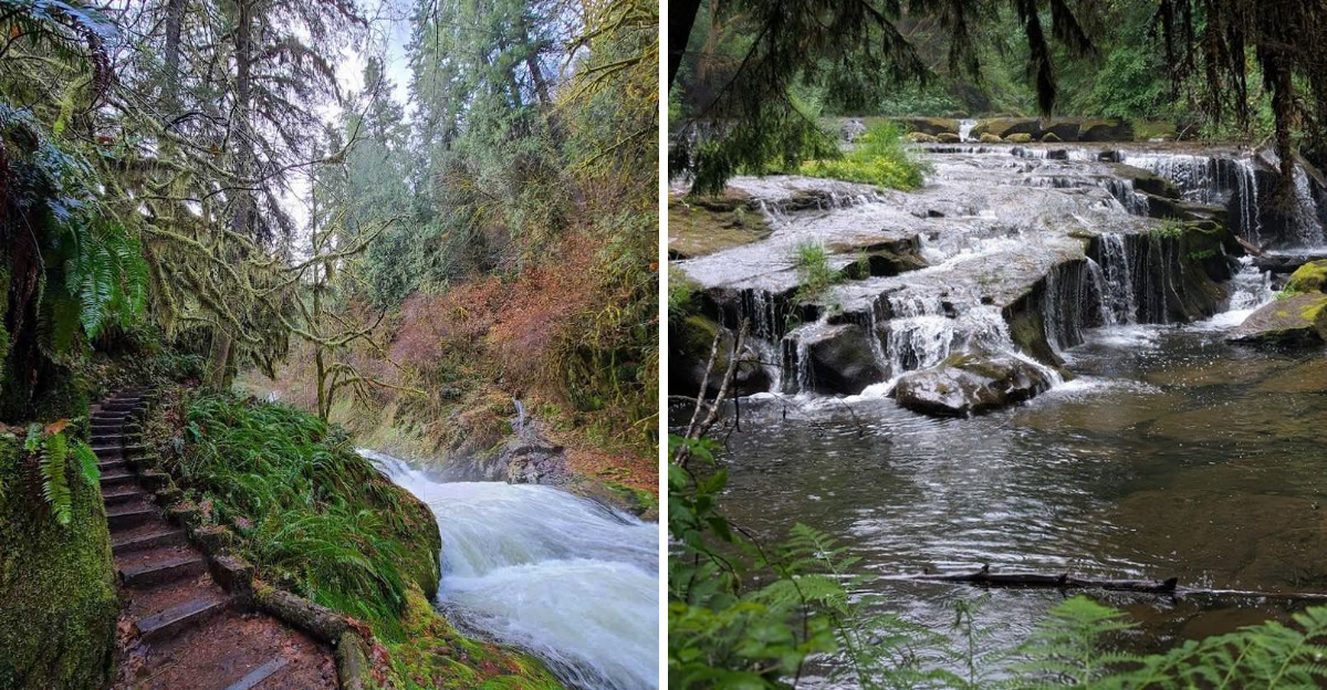 This forest hike is a shaded 3.5-mile escape with flowing creek views