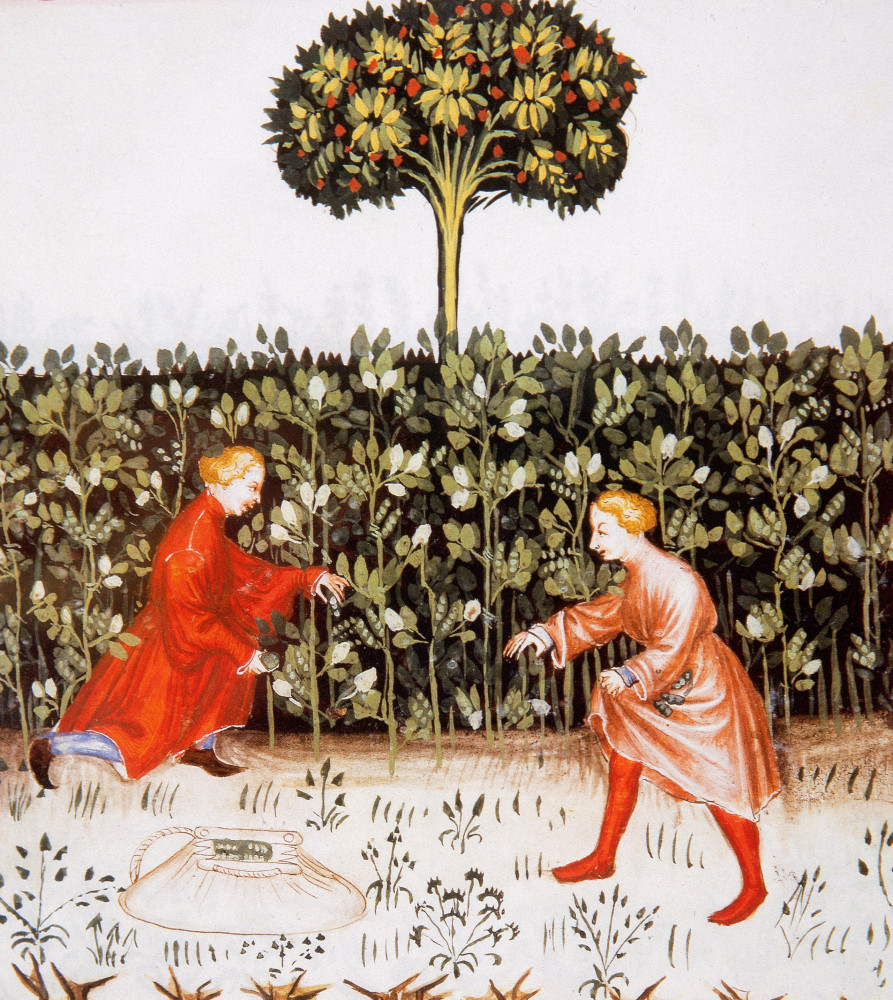 What was the average diet like in medieval Europe?